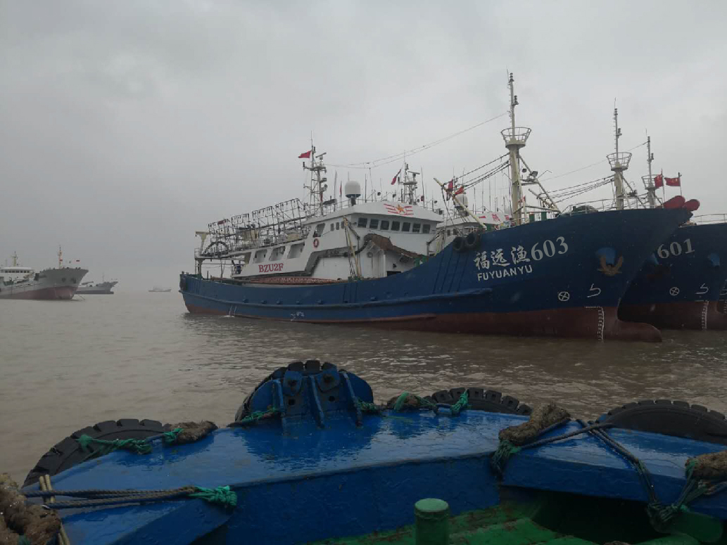 Fu Yuan Yu 603 | NPFC